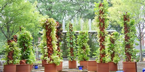 Clay 3d Printed Hydroponics Grozine