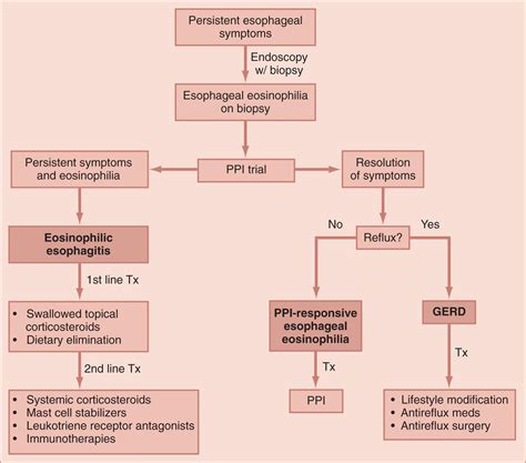 Nonreflux Esophagitis Clinical Tree