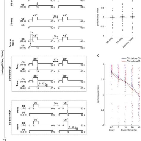 Conditioning Related Experimental Controls A Delay And Trace Download Scientific Diagram