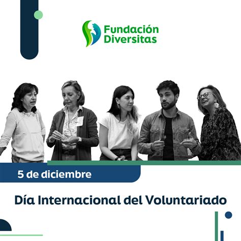 Día Internacional Del Voluntariado Diversitas Felicita A Su Red De