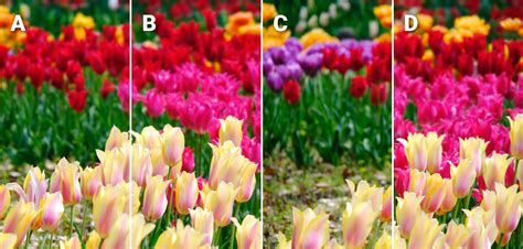 1 Minute Quiz Answers Quiz Facts Can You Answer These 10 Fun