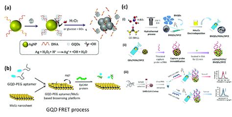 A Schematic Representation Of A Fluorescent Biosensor Based On Silver