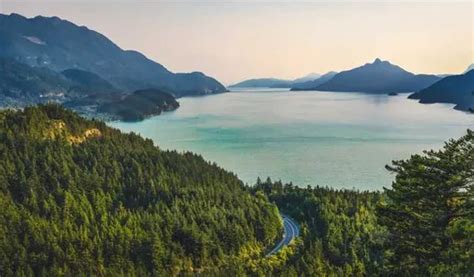 앵무새에게 안전한 과일과 채소 리스트