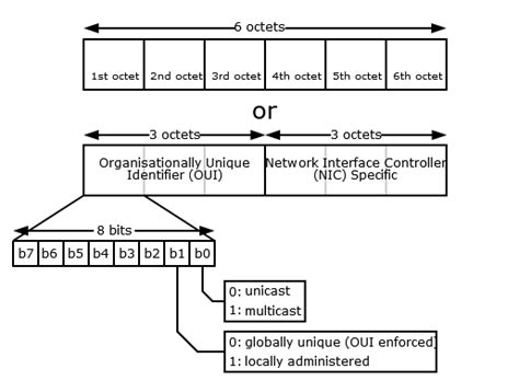Discovering Network Loops Layer 2 With Wireshark Golinuxcloud