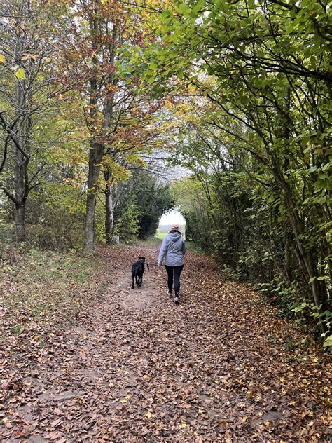 Lora Ryan On Linkedin Rechargeday Worklifebalance Brightly Brightlysoftware