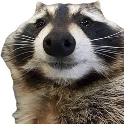 Jraccoon Dev Jack Del Aguila Github