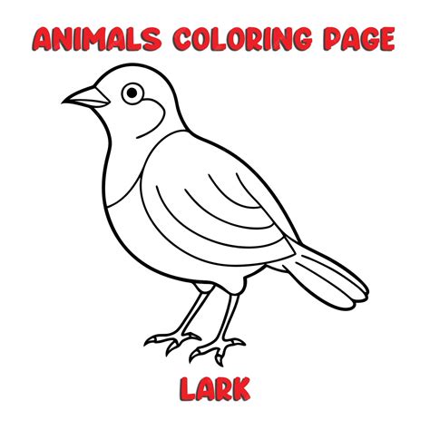 Premium Vector Cute Lark Outline Art Illustration Coloring Page Book