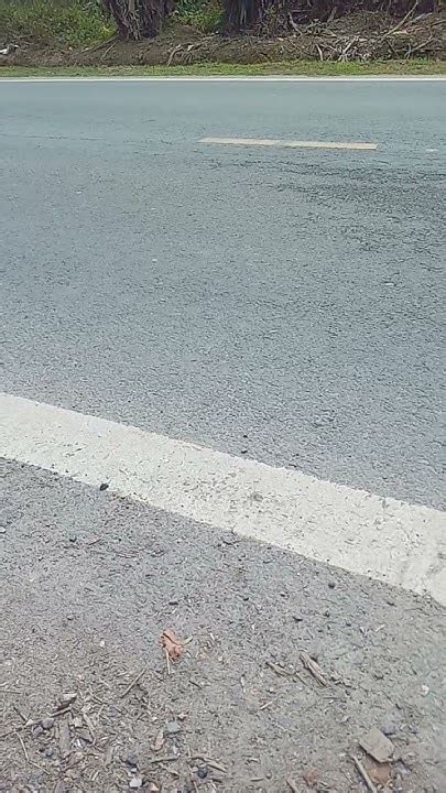 Tao Mà Còn Video Thì Thằng Chó Mừng Phải Lĩnh án Chắc Chắn Mặc áo Sọc Youtube