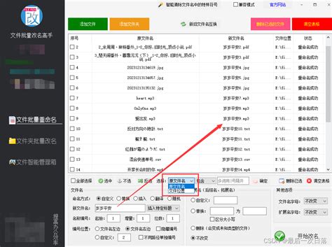 文件管理秘籍：批量重命名、复制移动及分类的专家指南 件批量改名高手 csdn博客