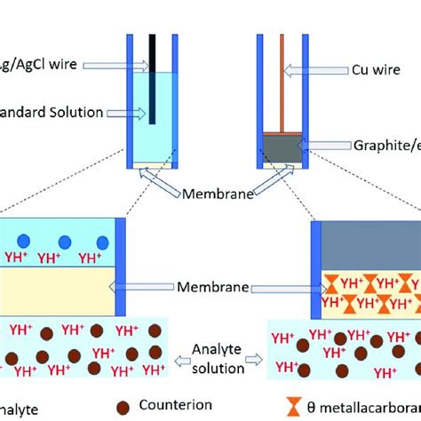 Schematic Representation Of Conventional Membrane Liquid Ises Top