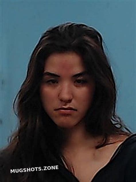 Shell Hallie Danielle 02092025 Boone County Mugshots Zone