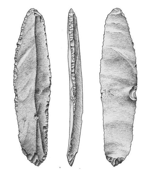 Modified Blades Image Courtesy Of Darby Erd Download Scientific