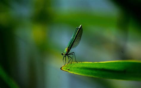Devopschat Articles Php Debugging Tips