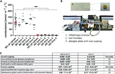 Co 2 Diffusive Conductance Of Cappings A And B Worker Brood Cappings Download Scientific