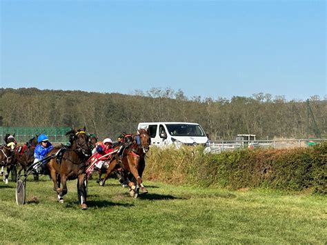 Cluny. Les courses hippiques suivies par plus de 500 personnes