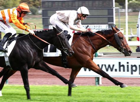 Six Wildcards Added To Arqana Autumn Sale