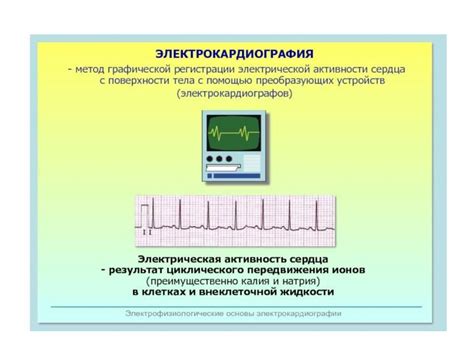 Методы изучения сердечно сосудистой системы презентация онлайн