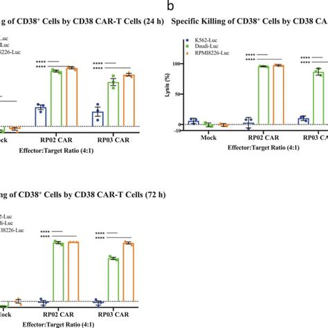 Cytokine Secretion Of Anti Cd38 Rp02 And 028 Car T Cells Car T Cells