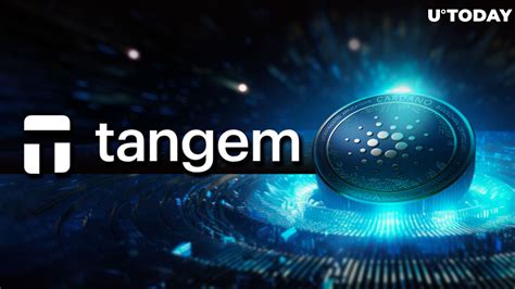 Tangem Ring Hardware Wallet Debuts At Cardano Summit What To Know