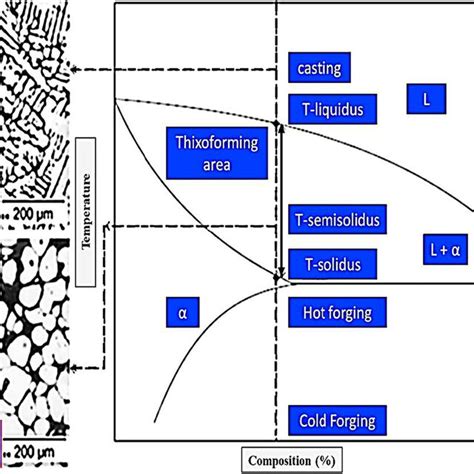 Phase Diagram With Dendritic And Globular Microstructure In The