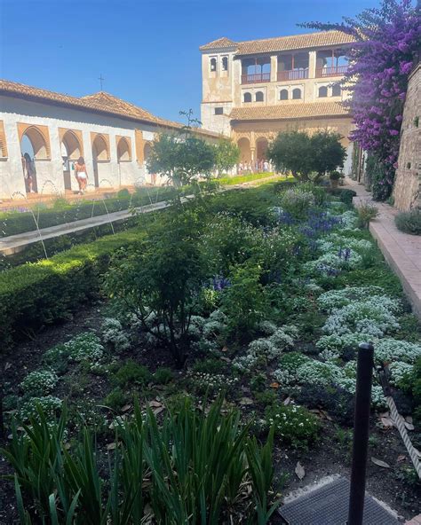 Sofia Isabel Esmaili Sofiaiesmaili • Instagram Photos And Videos