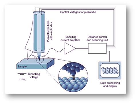 Scanning Tunneling Microscope Stm Principle Instrumentation Uses