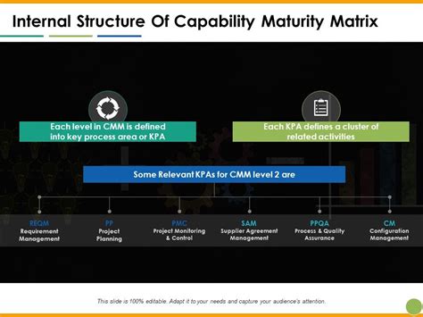 Internal Structure Of Capability Maturity Matrix Ppt PowerPoint Presentation Portfolio Design