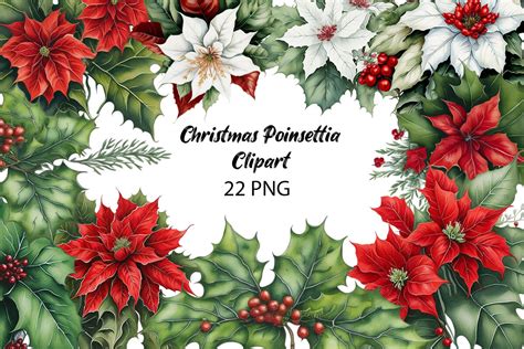 Christmas Poinsettia Watercolor Clipart Graphic By Dreamy Art · Creative Fabrica