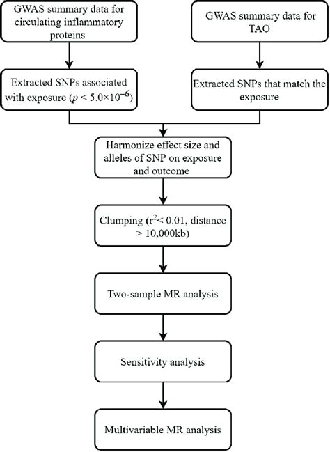 The Flowchart Of The Study The Whole Workflow Of MR Analysis GWAS
