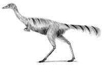 Mononykus Fossil Wiki Fandom