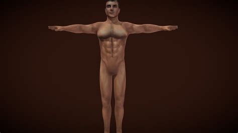 Naked D Models Sketchfab