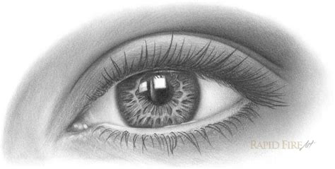 How To Draw Eyelashes In 8 Steps Rapidfireart