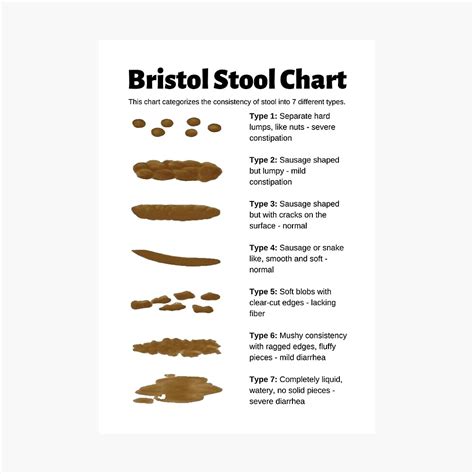 Bristol Stool Chart Printable Free Printable Chart Template