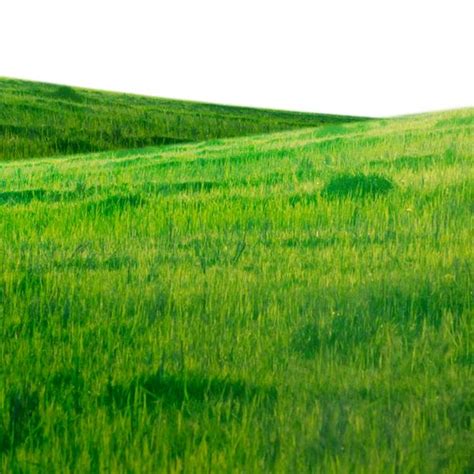 Grass Wallpapers Apk For Android Download Grass Wallpapers Apk For Android Download