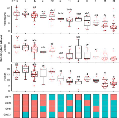 Gene Combinations Contribute To Heading Date Effects Of Gene Download Scientific Diagram