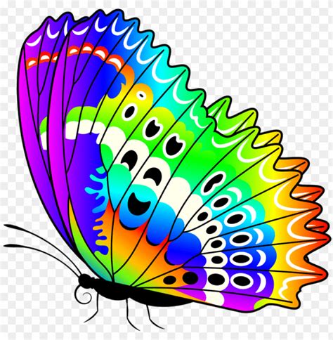 Colorful Butterfly Transparent Clipart Png Photo 48660 TOPpng