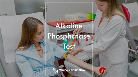 Alkaline Phosphatase Test Low Normal Range High Meaning Medical