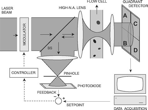 Experimental Configuration For The Optical Gradient Force Detection