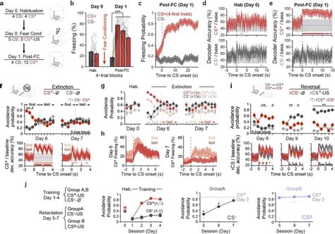 Cs Decoding From Dmpfc Neuronal Populations A Tone Fear Conditioning Download Scientific