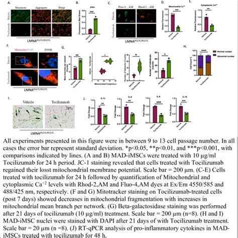Stat3 Inhibitor Rescues Nuclear And Mitochondrial Defects Associated