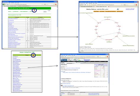 CSD Web Interface Microorganisms Information And Its Interaction