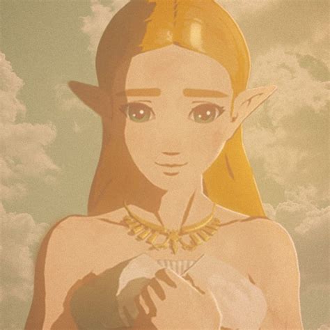 Aesthetic Icon Of Zelda From Breath Of The Wild Botw Zelda Breath Of
