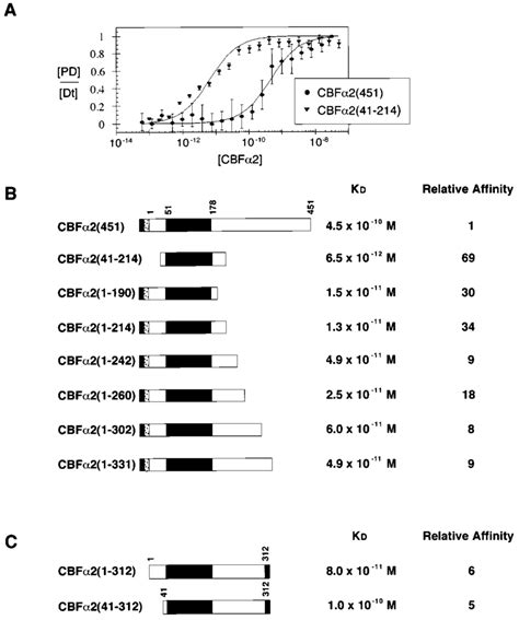 Modulation Of Cbf2 Dna Binding By C Terminal Sequences A Equilibrium Download Scientific
