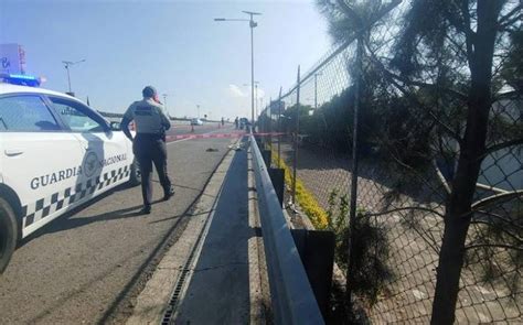 Hombre Muere Atropellado En La Autopista México Pachuca La Visión De