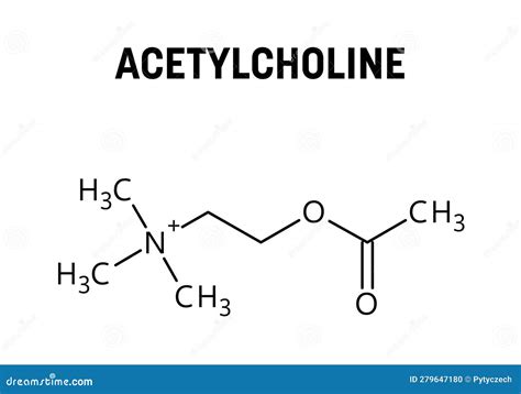 Acetylcholine Structural Formula Of Molecular Structure Stock Vector Illustration Of Model