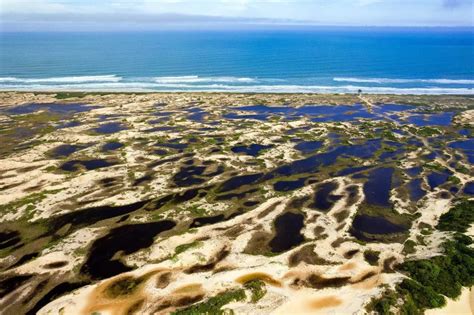 Dunas da Lagoa Combate à invasão biológica Waves