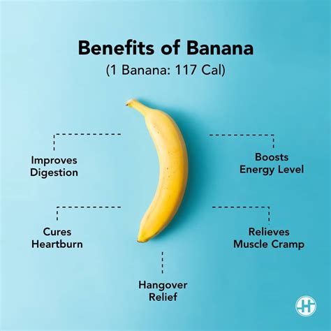 What Are Bananas What Is A Banana Atcye