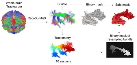 Consistency Analysis The High Frequency MRI Database 0 1 Documentation