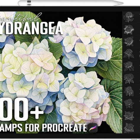 Hydrangea Stamp Etsy