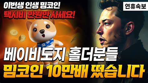 베이비도지코인 바이낸스 상장 소름 1억배 밈코인 나왔어요 무조건 보세요 YouTube